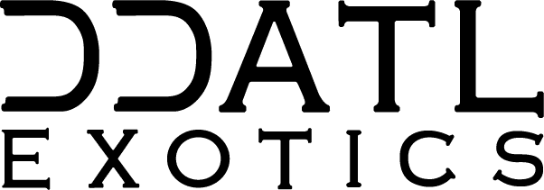 Exotic Clan Logo